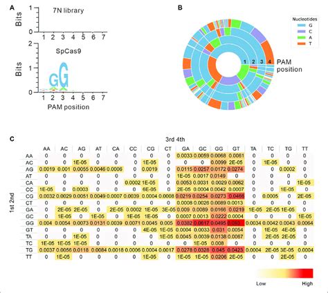 Pam Sequence Analysis A Weblogo Is Generated Based On The Pam