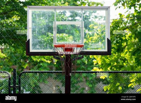 Basketball Backboard Is Translucent That The Green Trees In The