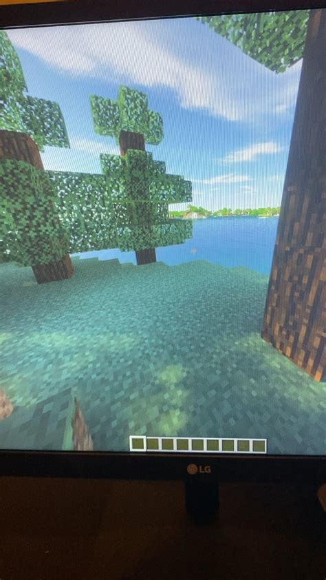 Anyone Know How To Fix This Problem With Shaders The Trees And Stuff Keep Bouncing Rminecraft