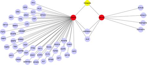 Drug Target Interactome Of Gliclazide Drug Gliclazide In Yellow Download Scientific