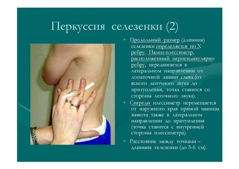 Методика обследования органов кроветворения пальпация перкуссия презентация онлайн