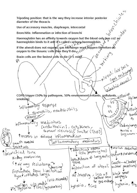 HV3 Lecture Notes Tripoding Position That Is The Way They Increase