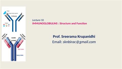 Lecture 10 Immunoglobulins Their Structure And Function Pptx