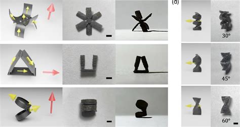 The 3d Printed Robots With Encoded Magnetization Profiles And Shape Download Scientific Diagram