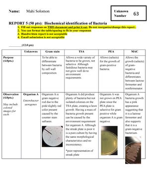 Lab 5 Lab Report Microbiology Lab 5 Aseptic Technique And Culturing Microbes Lab Report