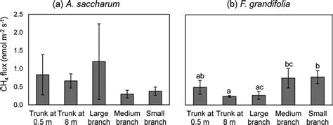 CH Emissions From A Tree Stems And B Tree Wounds Categorized By Download Scientific