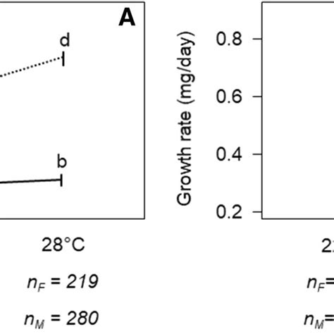 Interactive Effect Between Sex And Thermal Regime 22 25 Or 28 °c On