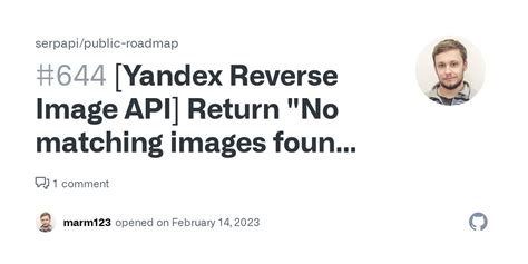 Yandex Reverse Image Api Return No Matching Images Found In Json Response · Issue 644