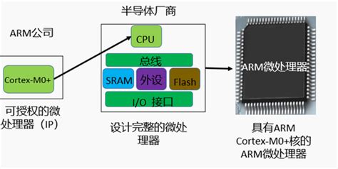 Arm及arm Cortex M处理器 知乎