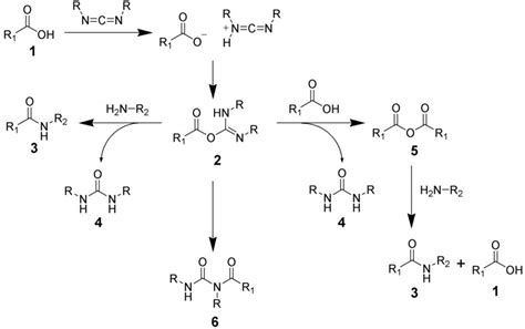 Fluorescent Microsphere Supported Optical Material And Preparation Method Thereof Eureka Patsnap