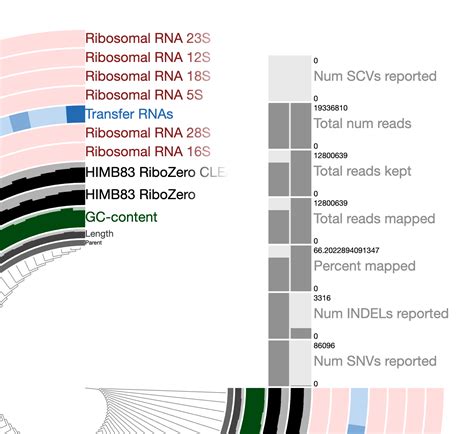 [bug] Anvi Profile Does Not Populate The Misc Data Table For Num Scvs Reported Data · Issue