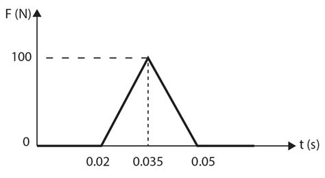Year Physics Practice Paper For Yearly Physics Exam New Syllabus