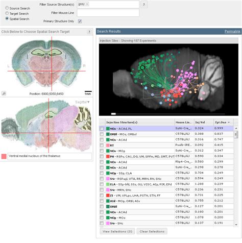Api Allen Brain Connectivity Allen Mouse Brain Connectivity Atlas Allen Brain Map Community