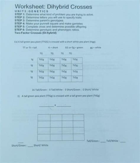 Discover Algebra 1 Unit 3 Answer Key Boost Your Understanding