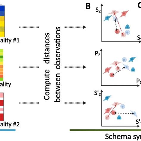 Integration Of Simultaneously Assayed Modalities Using Schema A Schema