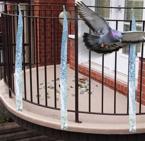 Keep Birds Away With These Best Bird Deterrent