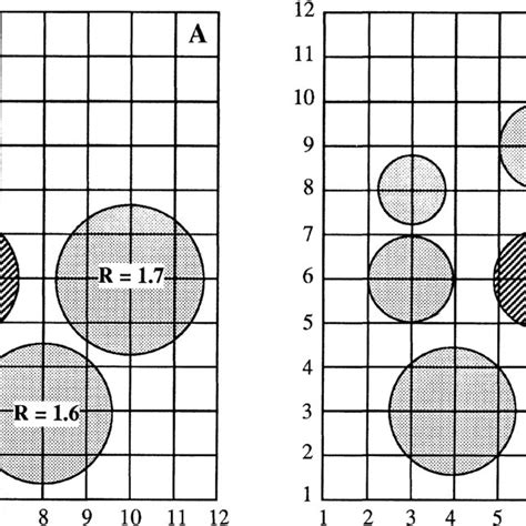 Duplication Process The Radius Of Each Cell Nucleus Is Indicated On