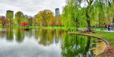 Shofar And Tashlich Celebration At Boston Public Garden Jewishboston