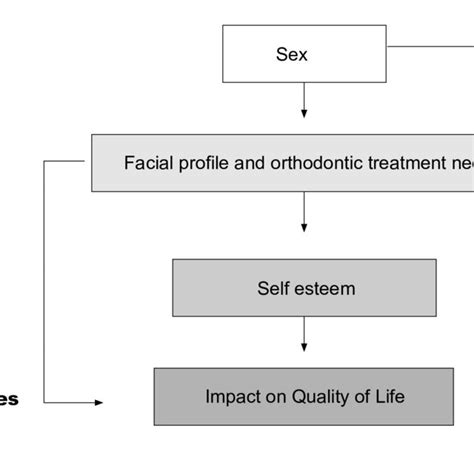Hierarchical Multiple Logistic Models Flowchart Download Scientific Diagram