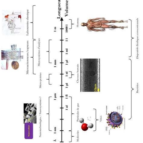 Pdf Etude Et Développement Dune Plateforme Microfluidique Dédiée à