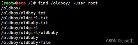 二、linux find命令详解 find name 模糊查找 csdn博客