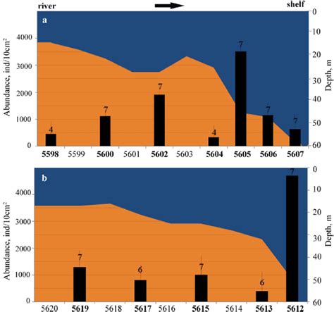 Distribution Of Abudance Of Total Meiobenthos With Depth Along Download Scientific Diagram