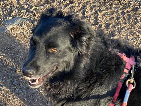 Ruby Gaston Ruby Gaston Added A New Photo