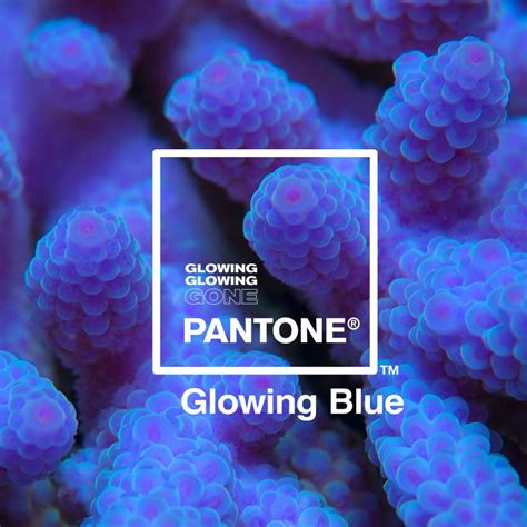 Pantone Y Adobe Se Unen Para Crear Una Paleta De Colores Inspirados En