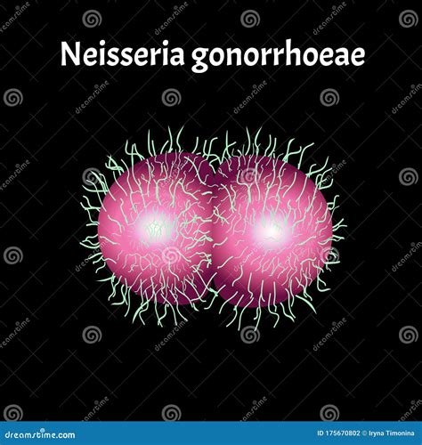 Gonococcus Cartoons Illustrations And Vector Stock Images 230 Pictures