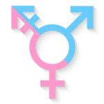 Best FTM Sex Toys Different Strokes For Different Folkx Men S Pleasures