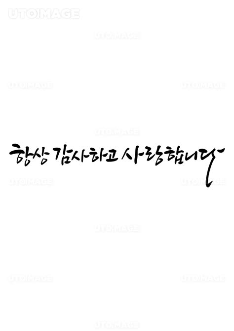 유토이미지 캘리그라피 항상 감사하고 사랑합니다