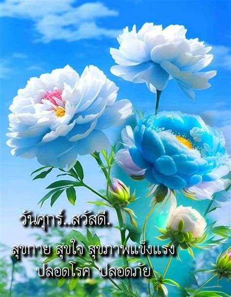 ปักพินโดย Vivo ใน การบันทึกอย่างรวดเร็ว ความงามของดอกไม้ สุขสันต์วันศุกร์ ร้านดอกไม้