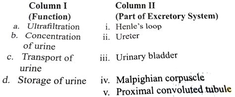 Tooth Resorption Part I Pathogenesis And Case Series Of