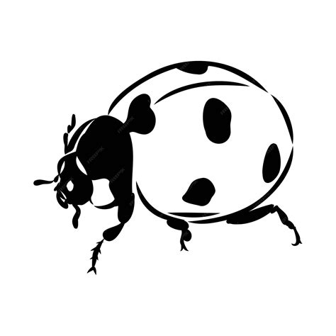 Premium Vector Hand Drawn Ink Sketch Of Ladybug Ladybug Vector Sketch