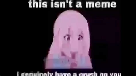 No Meme Here Rcallmecarson