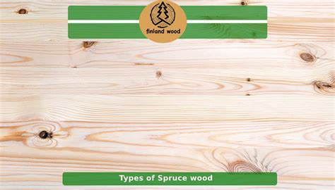 Spruce Wood Characteristics Species Finland Wood