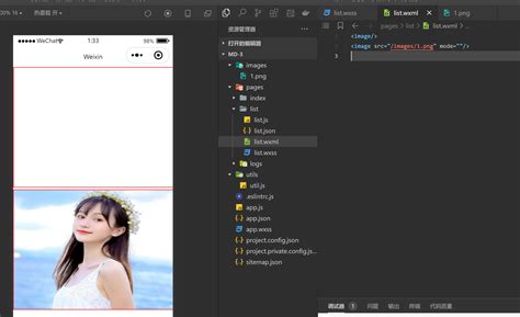 image 图片组件使用 java code zx 博客园