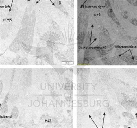 12 Microstructure Of Sample A1 Download Scientific Diagram
