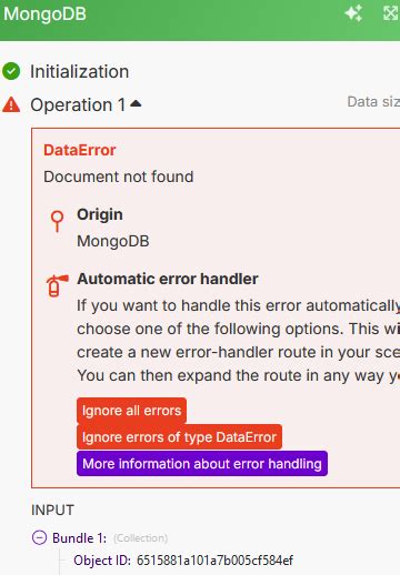 Issue Updating A Document Mongodb How To Make Community