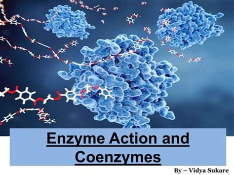 Enzyme Substrate Complex Pptx Divyanshu Alawe Ppt