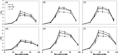 Maize Canopy Leaf Area Index Lai ± S E Development During The Download Scientific