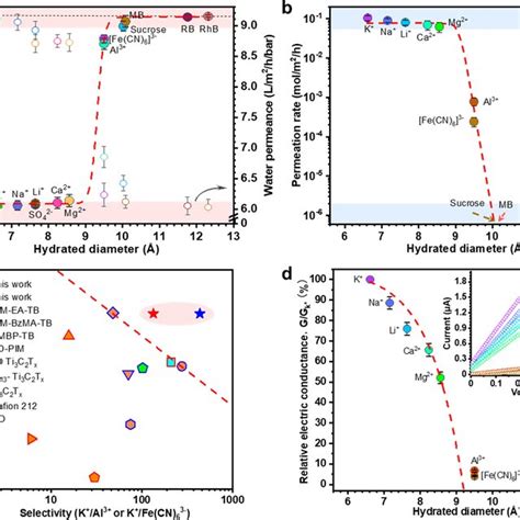 Simulated Structure Of The CMP Membrane A Pore Size Of The Download Scientific Diagram