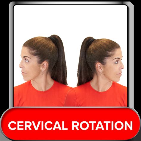 Soft Tissue Head Neck Cervical Rotation Reference