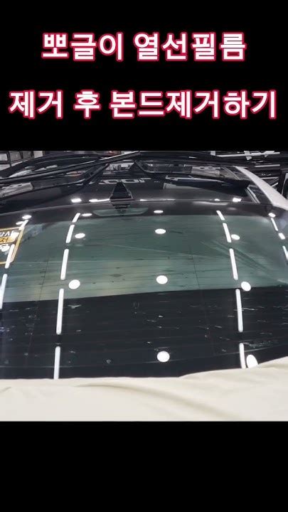 썬팅추천 요즘 많아지는 뽀글이열선 필름 이렇게 제거합니다 Shorts Youtube