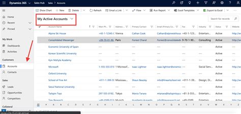 update records in dynamics 365 using excel re import skyline consultants
