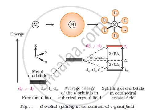 Draw Figure To Show The Splitting Of D Orbitals In An Octahedral
