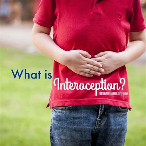 How To Understand Interoception An Explanation Of The 8th Sensory System Artofit