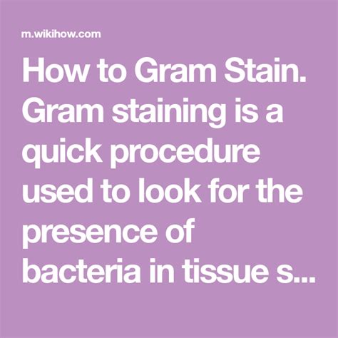 Gram Staining A Quick Procedure To Identify Bacteria