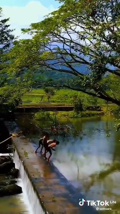 ස්වයංපෝෂිත රටක් 🥺🙏🇱🇰 කොයිතරම් ලස්සන රටක්ද නූතනයේදී මේ විනාශ වෙන්නේ 🥺 Youtube