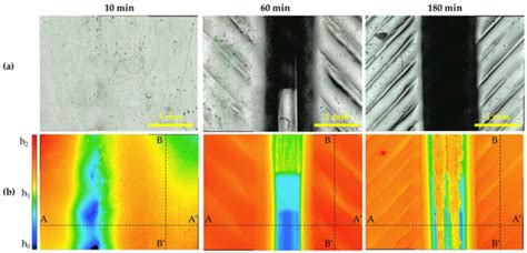 Solid State Surface Patterning On Polymer Using The Microcellular Foaming Process